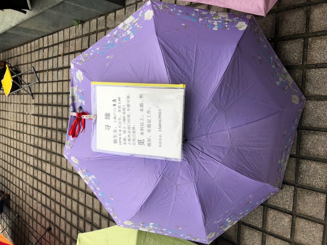 Plaza del pueblo 3 | Benditoplaneta