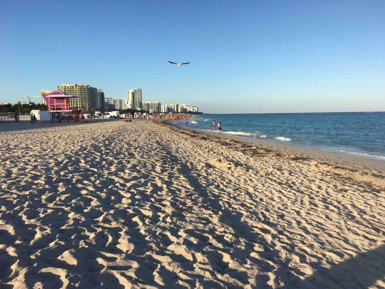 Miami Beach 3 | Benditoplaneta