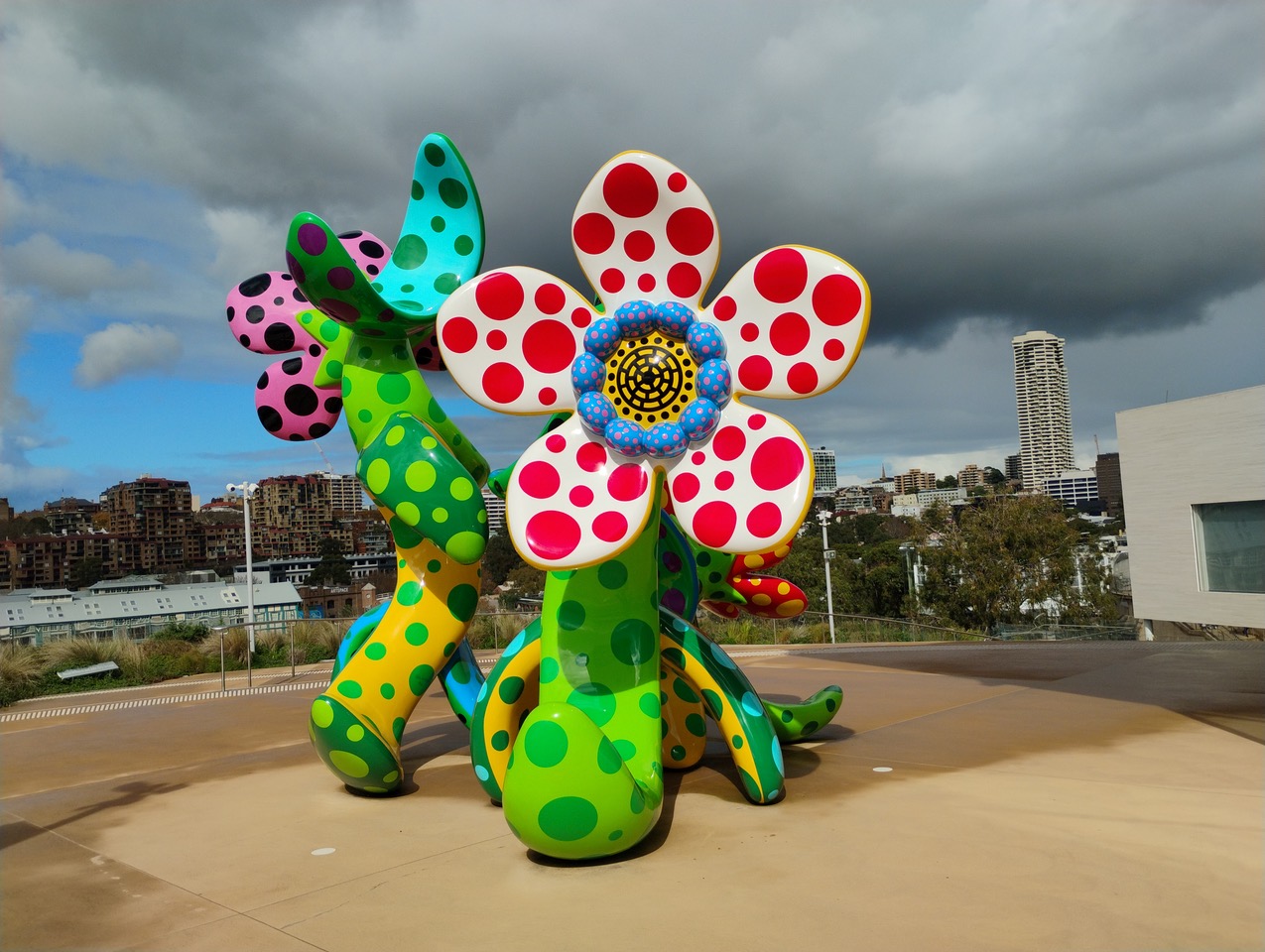 Art Gallery NSW – Kusama 2 | Benditoplaneta